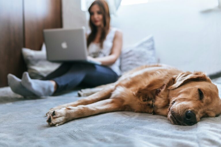 HSE reminds employers of duty to protect home workers as remote working ...